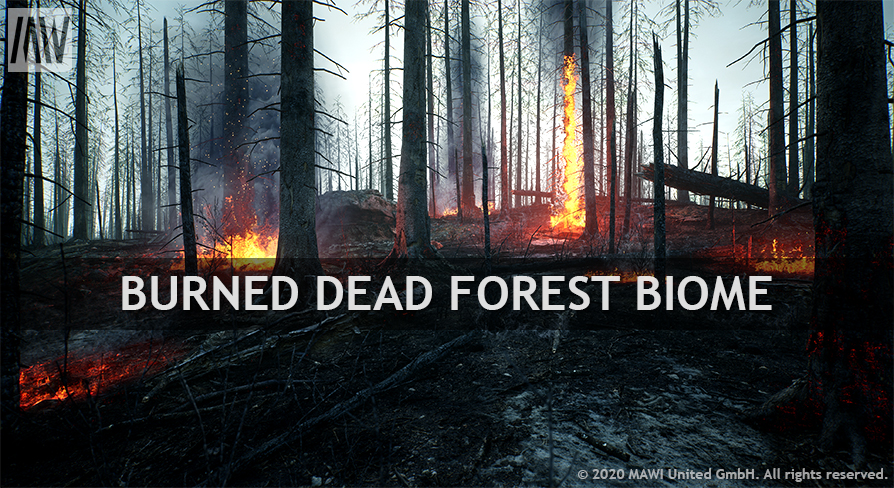 Burned Dead Forest Biome in Environments - UE Marketplace
