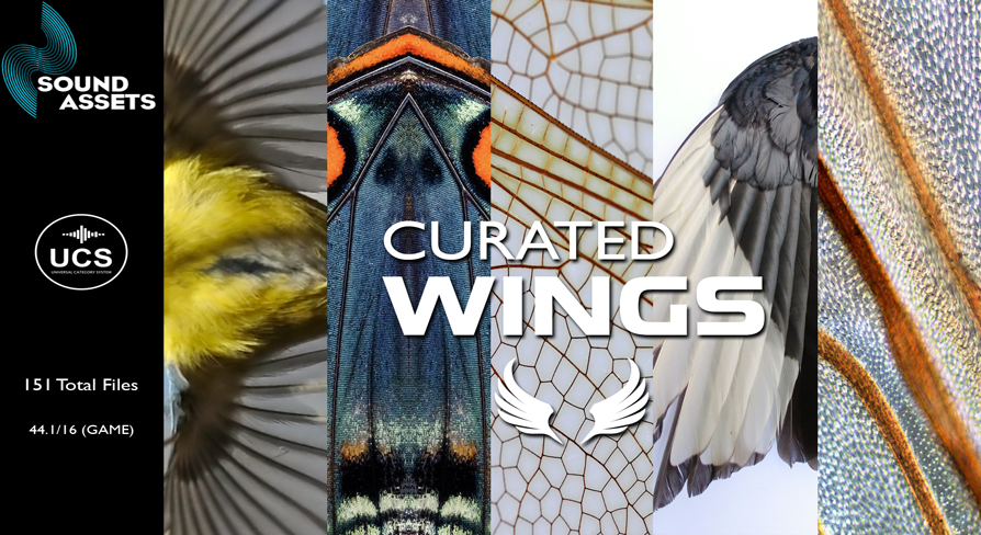 CURATED WINGS in Sound Effects - UE Marketplace