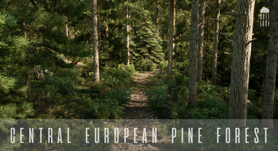 Central European Pine Forest in Environments - UE Marketplace