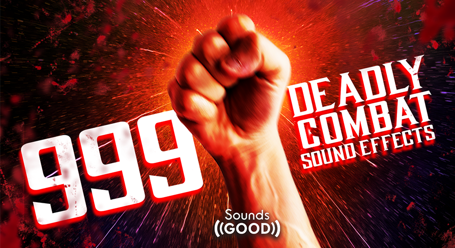 Deadly Combat Sound Library in Sound Effects - UE Marketplace