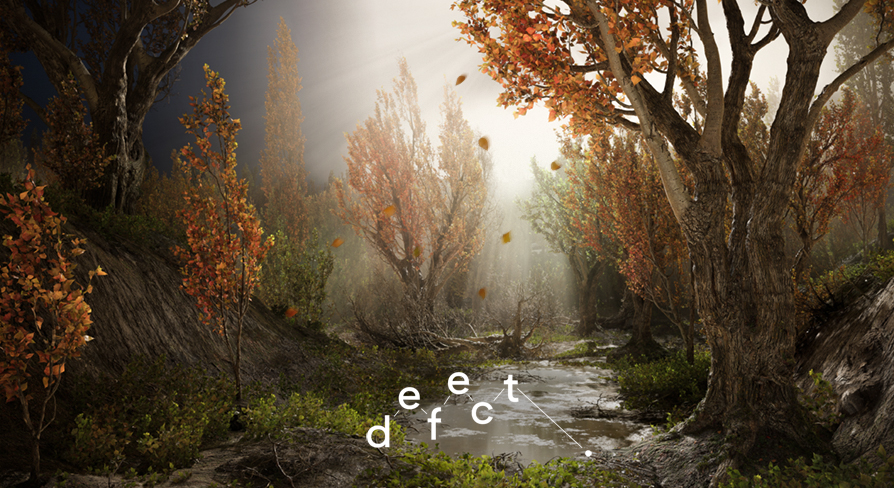 Trees: Poplar Tree Biome in Environments - UE Marketplace