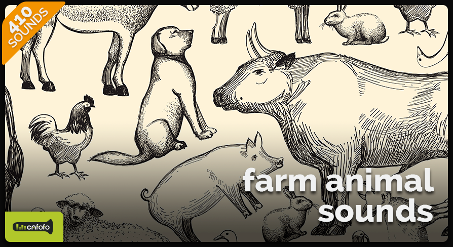 Farm Animal Sounds in Sound Effects - UE Marketplace