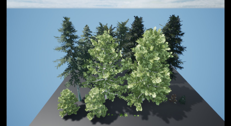 Fir Tree Forest, 카테고리 소품 - UE 마켓플레이스