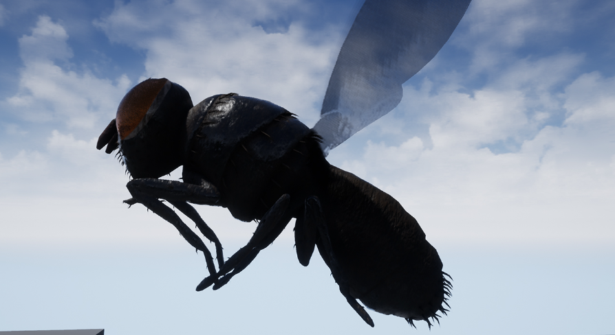 The Fly Monster