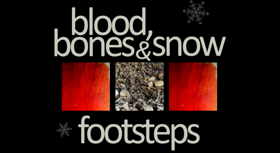 Footstep Collection Part 5: Blood, Bones, Snow in Sound Effects - UE ...