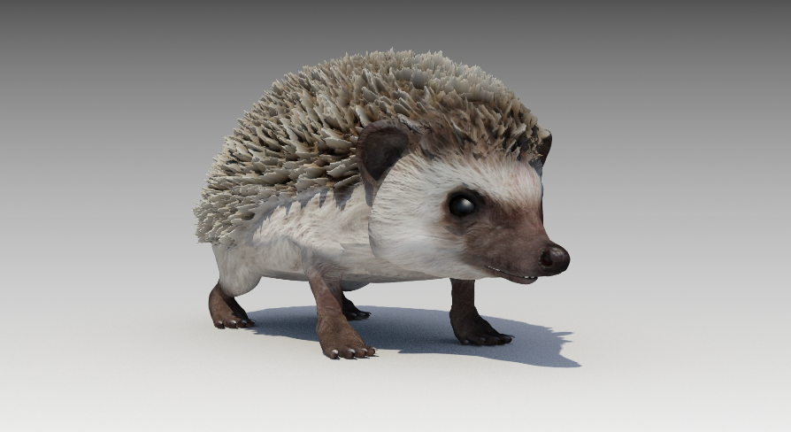 在角色创建的Hedgehog - 虚幻引擎商城