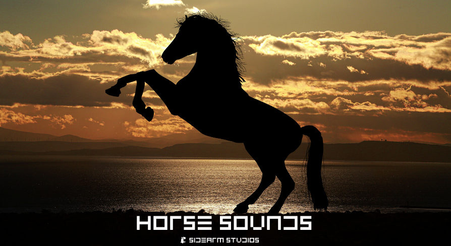 Horse Sounds Pro in Sound Effects - UE Marketplace