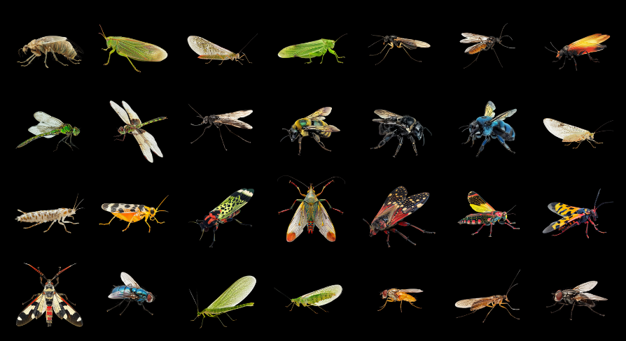 Mask Effects in Visual Effects - UE Marketplace