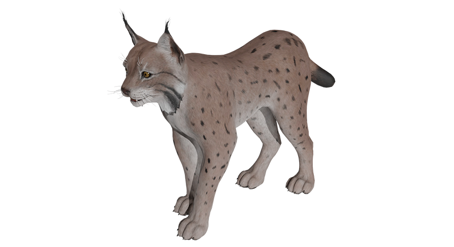 Lynx in Characters - UE Marketplace