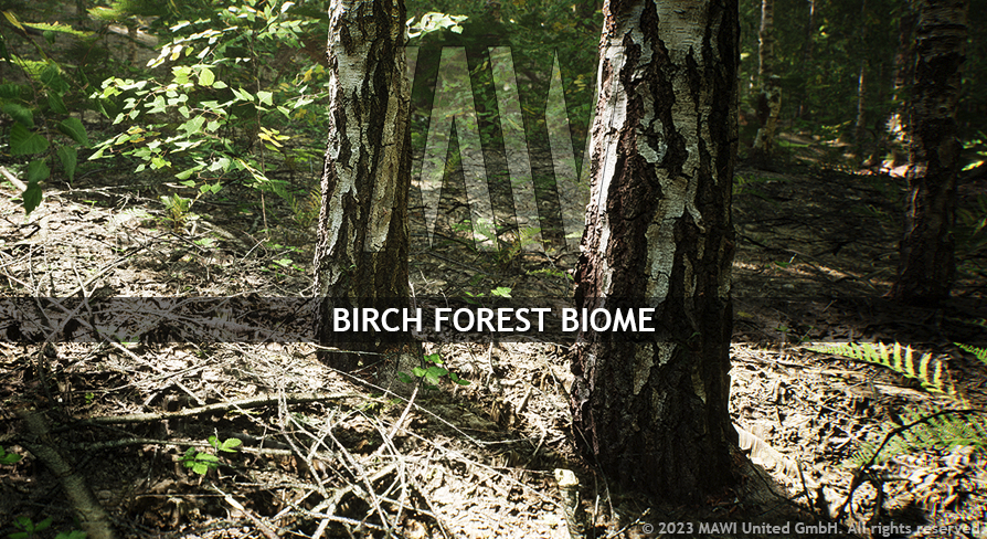 MW Birch Forest Trees Biome in Environments - UE Marketplace