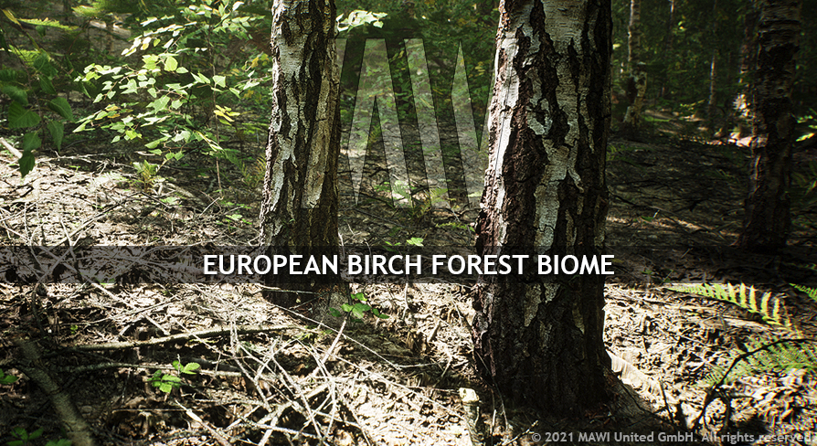MW European Birch Tree Forest Biome in Environments - UE Marketplace
