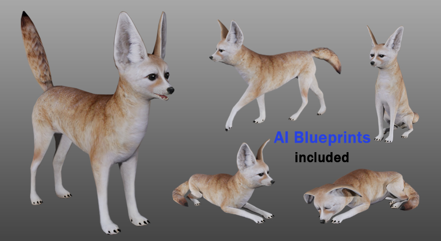Medhue Fennec Fox in Characters - UE Marketplace