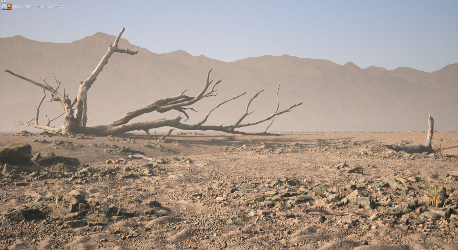 Megascans Desert Pack in Environments - UE Marketplace