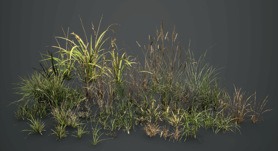 Megascans: Grass in Props - UE Marketplace