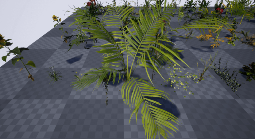 Megascans - Lush Plants in Megascans - UE Marketplace