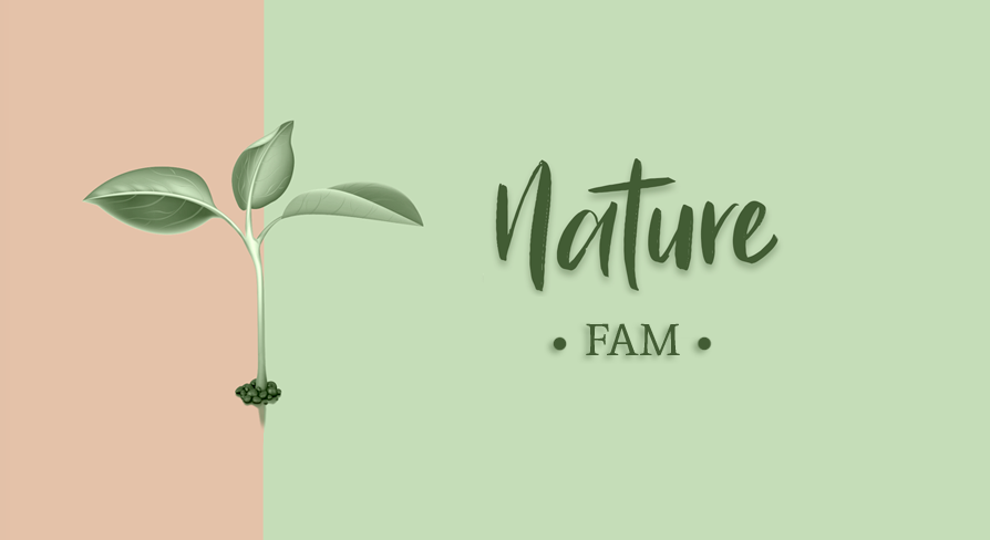 Nature - Volume 01 in Music - UE Marketplace