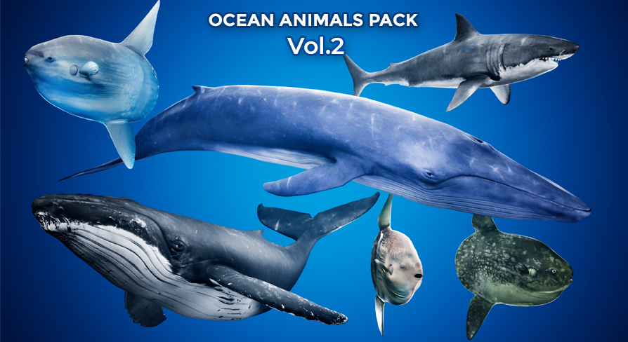 Ocean Animals Pack Vol.2, 카테고리 캐릭터 - UE 마켓플레이스