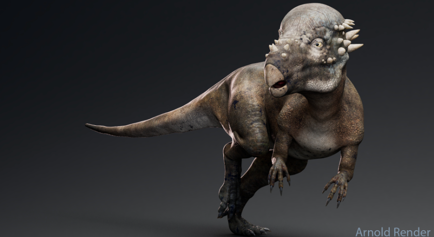 Pachycephalosaurus in Characters - UE Marketplace