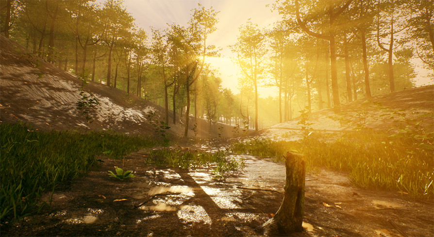 Photoscanned Central European Forest in Environments - UE Marketplace