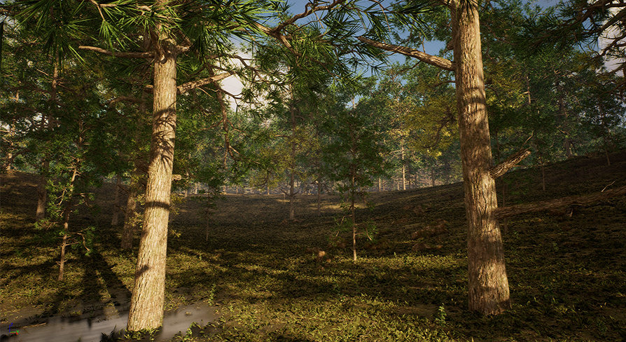 Pine Forest Biome (WIP) in Environments - UE Marketplace