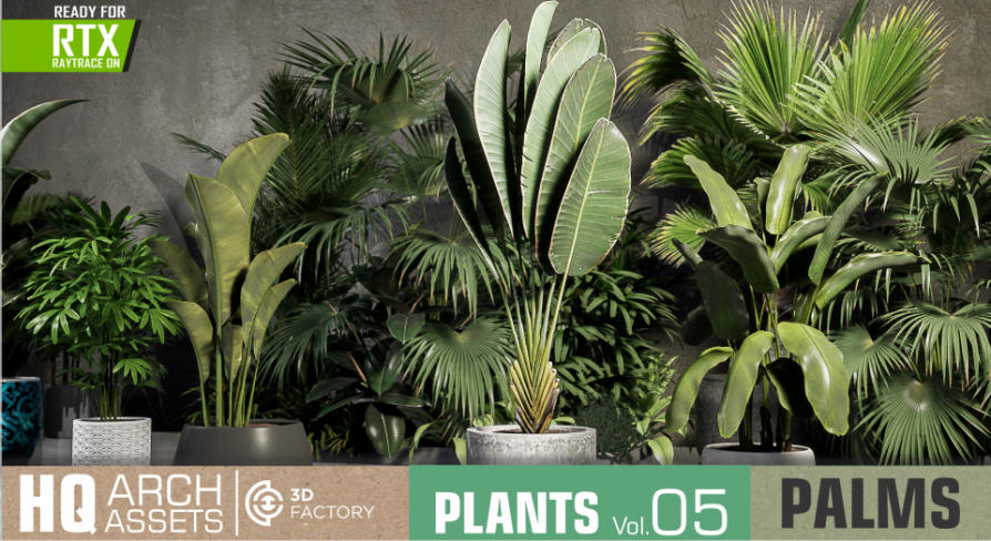 HQ Plants Vol. 5 ( Palms ) in Architectural Visualization - UE Marketplace