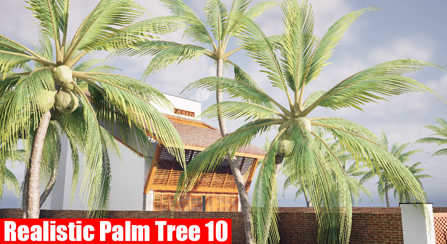 Realistic Palm Pack 10 (Mobile/Desktop) in Props - UE Marketplace