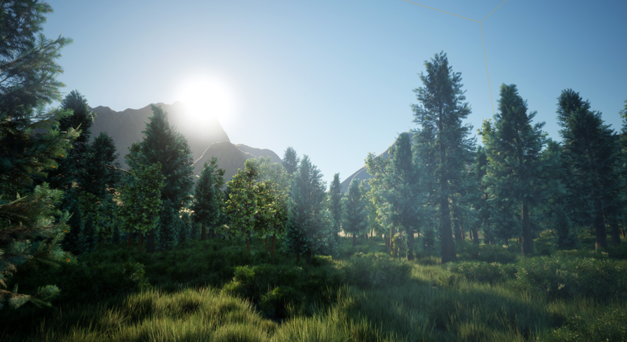 Realistic Pine Forest Location 3x3 in Environments - UE Marketplace