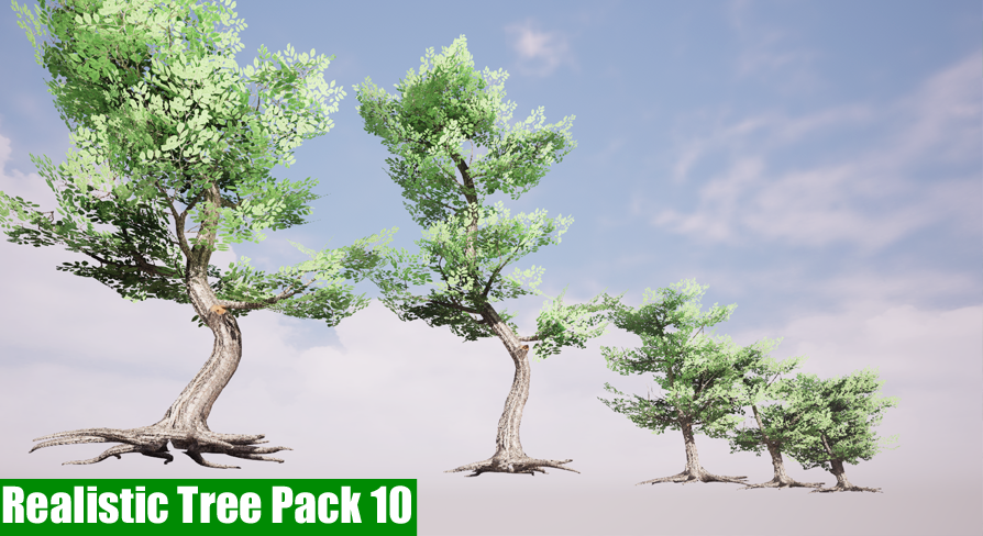 Realistic Tree Pack 10 (Mobile/Desktop), 카테고리 소품 - UE 마켓플레이스