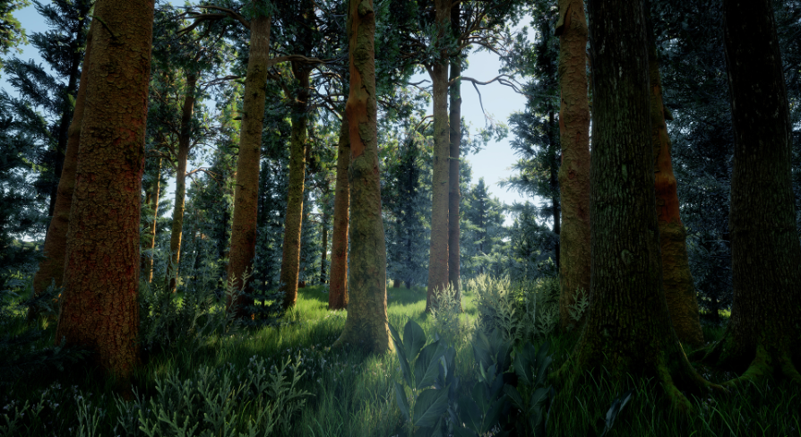 Spruce realistic mountain forest in Environments - UE Marketplace