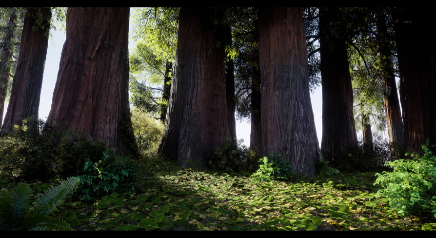 Realistic Forest Oak in Props - UE Marketplace