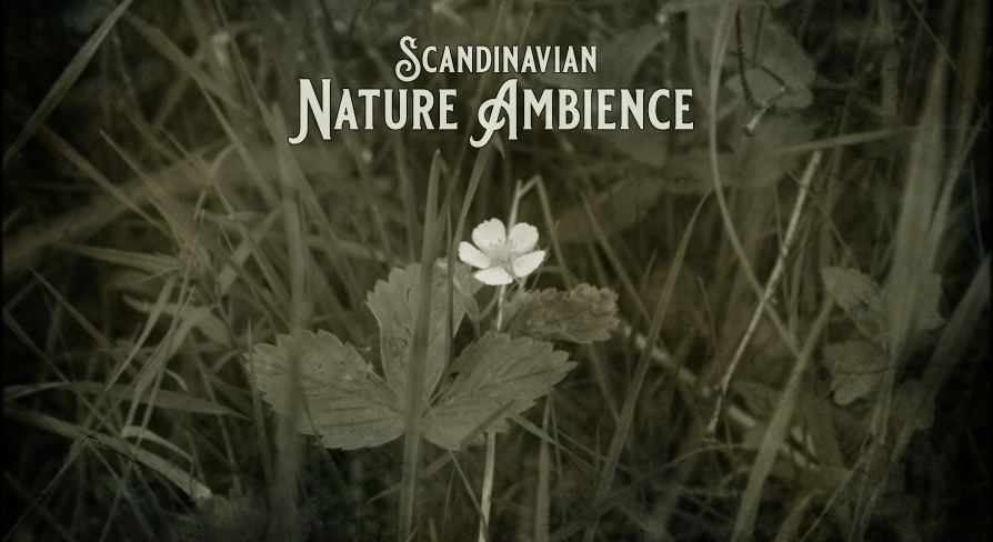 Scandinavian Nature Ambience in Sound Effects - UE Marketplace