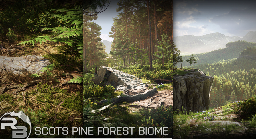 RB - Scots Pine Forest Biome - Trees, Landscape, Pine Forest, Grass in ...