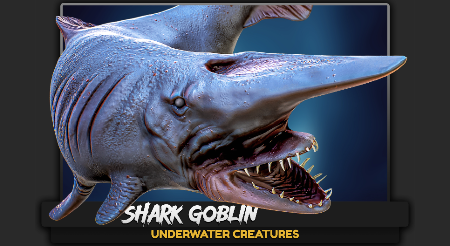 The Shark Goblin. low poly fish. Ocean predator. Fish 3d model Art by ...