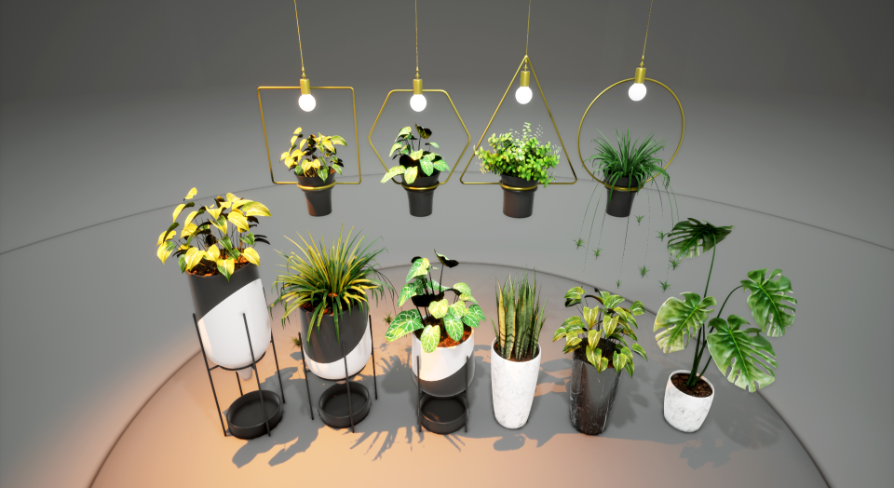 SimpleDesign_PottedPlant1 in Architectural Visualization - UE Marketplace