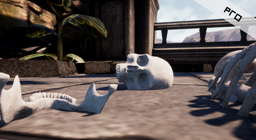 Skulls & Bones Pro in Props - UE Marketplace