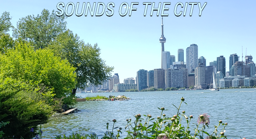 Sounds of the City Foley (54 Unique City Ambiences) in Sound Effects ...