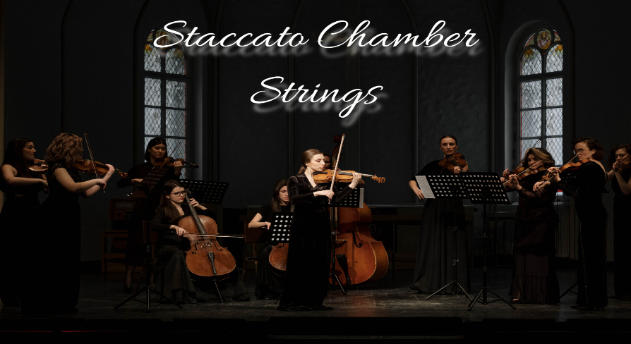 Orchestral Chamber Strings Staccato Collection：音楽 - UE マーケットプレイス
