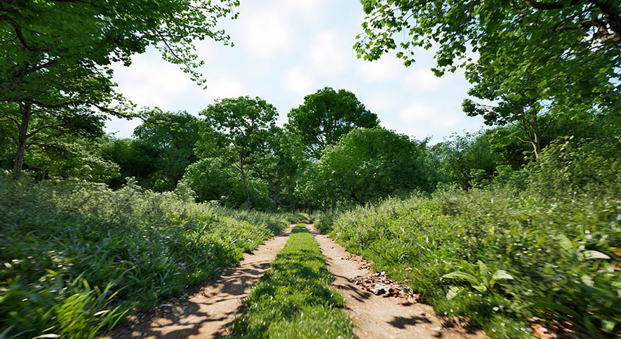 在环境创建的Trees Vol. 5 - Maple Trees (Ultra Realistic Wind) - 虚幻引擎商城