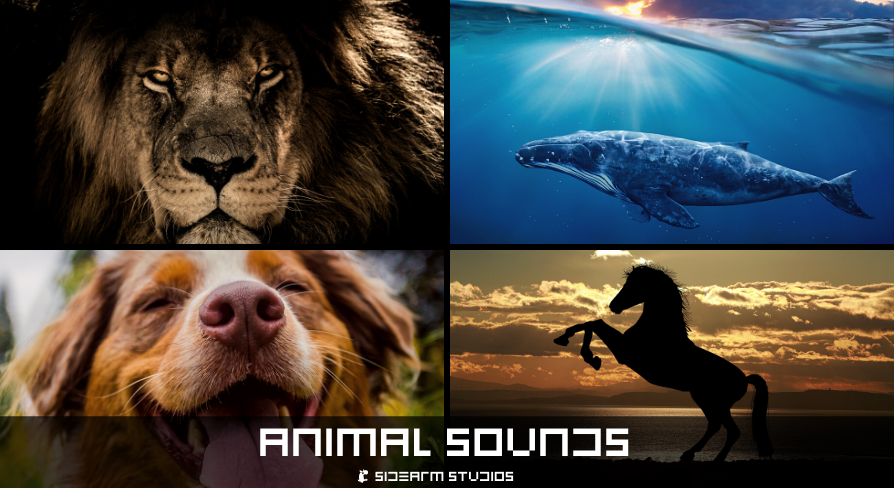 Ultimate Animal Sounds - 670 Sounds in Sound Effects - UE Marketplace