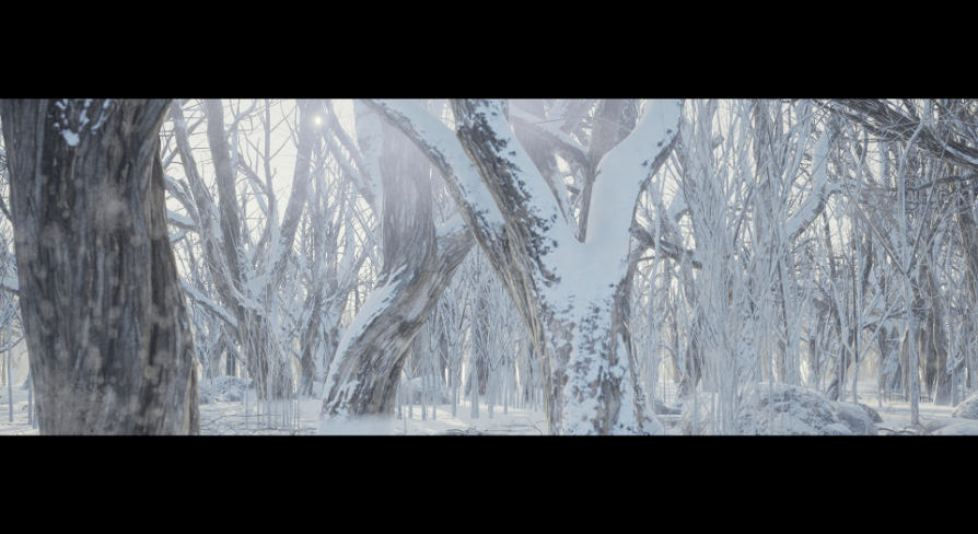Frozen Movie Winter Woods