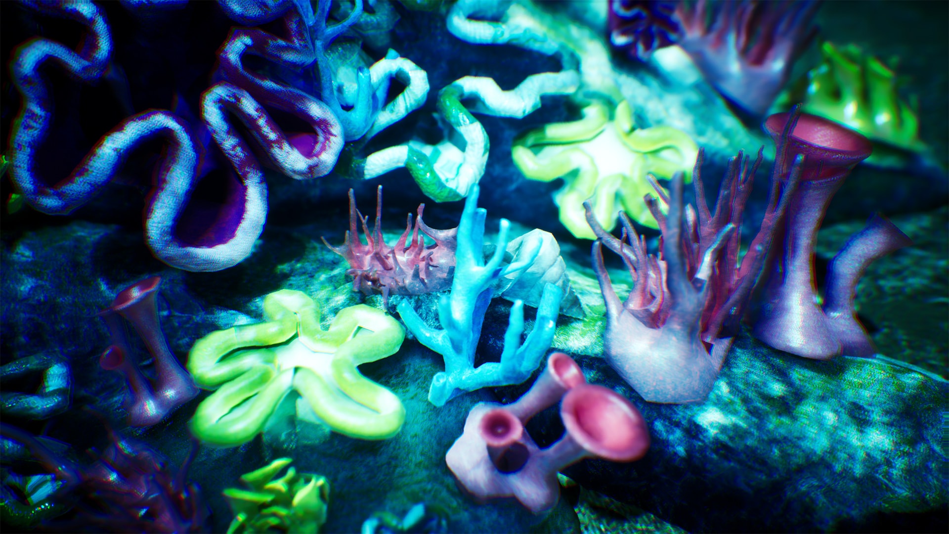 Coral Props / 40 Assets, 카테고리 소품 - UE 마켓플레이스