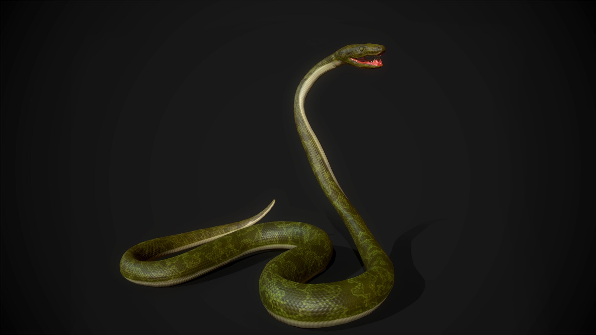 Animated Snakes (Boa) in Characters - UE Marketplace