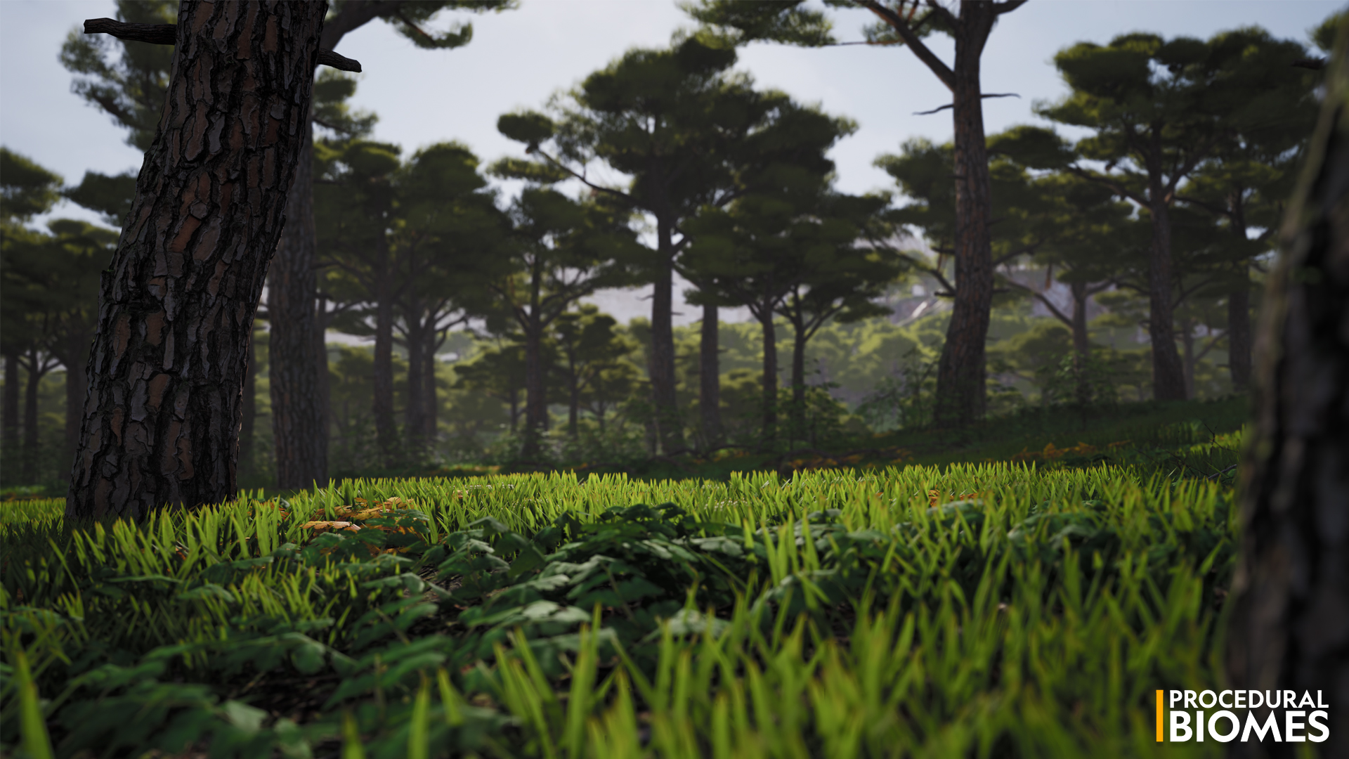 Procedural Biomes
