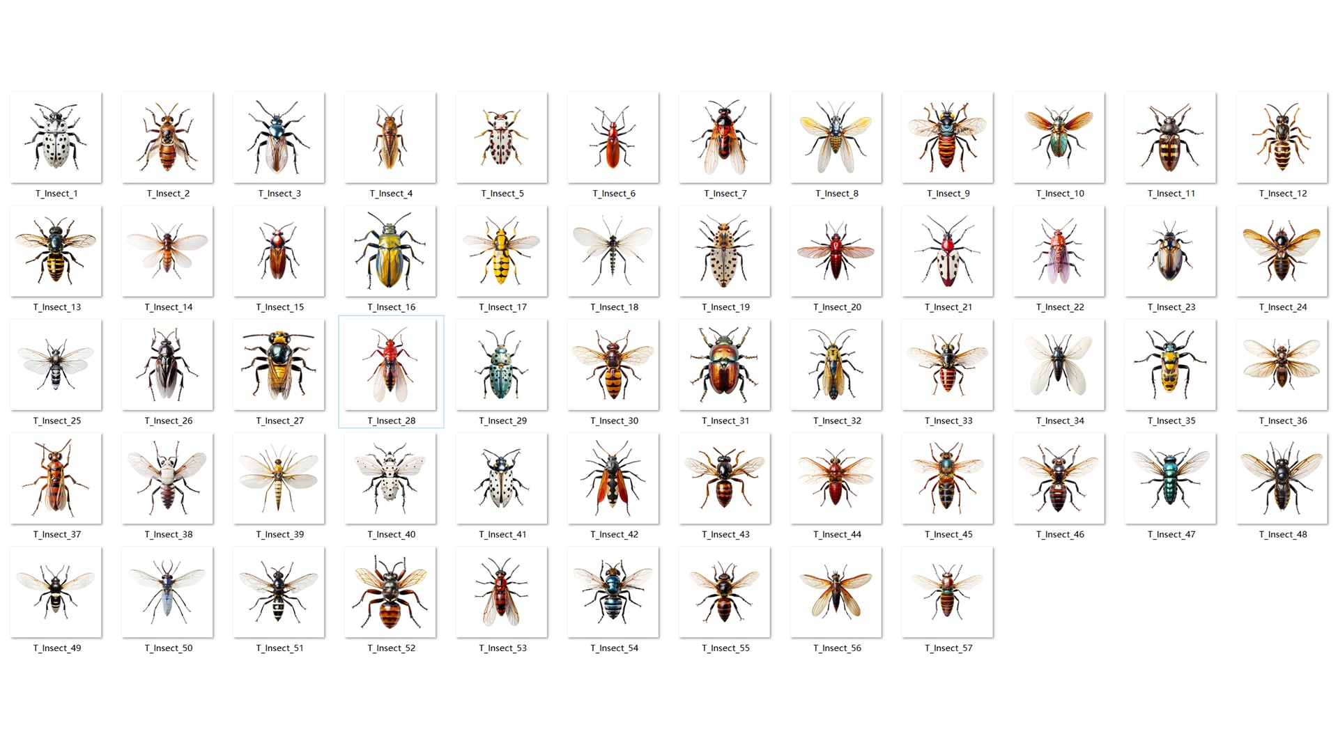 2d Insect Pack In 2d Assets Ue Marketplace
