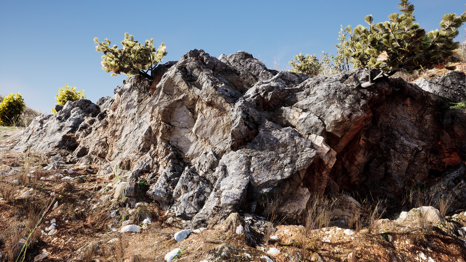 Photoscanned Rocky Field in Environments - UE Marketplace
