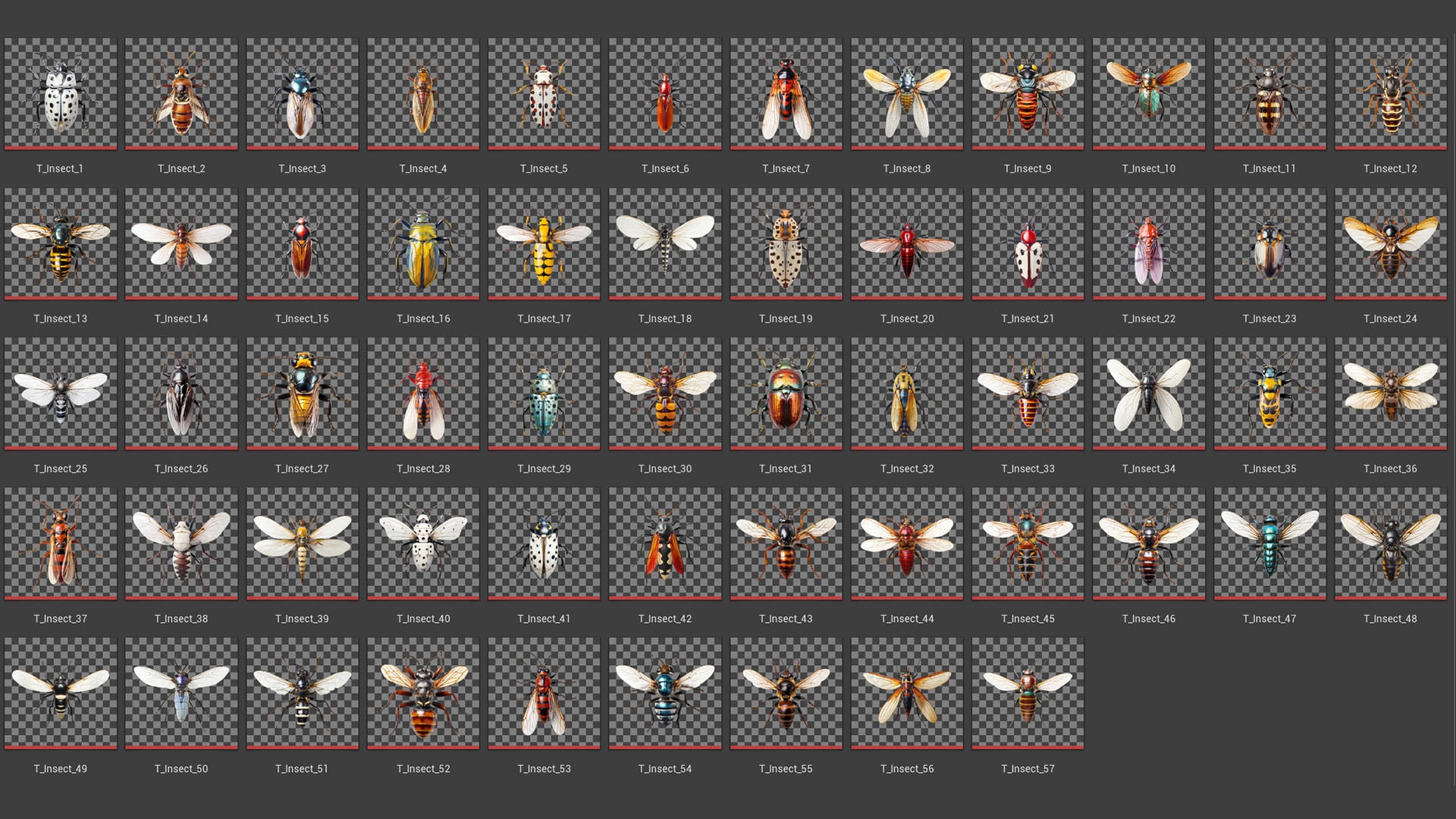 2d Insect Pack In 2d Assets Ue Marketplace