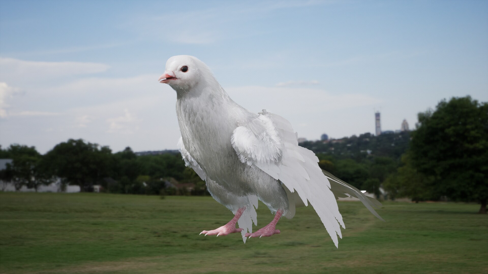 Dove in Characters - UE Marketplace