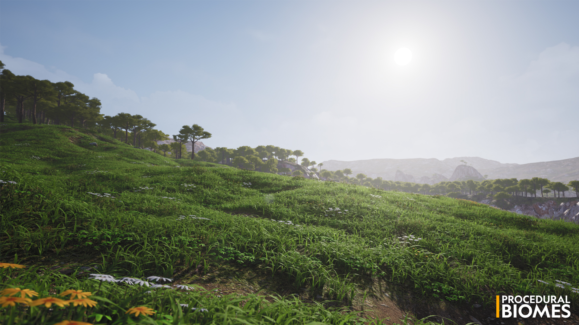 Procedural Biomes