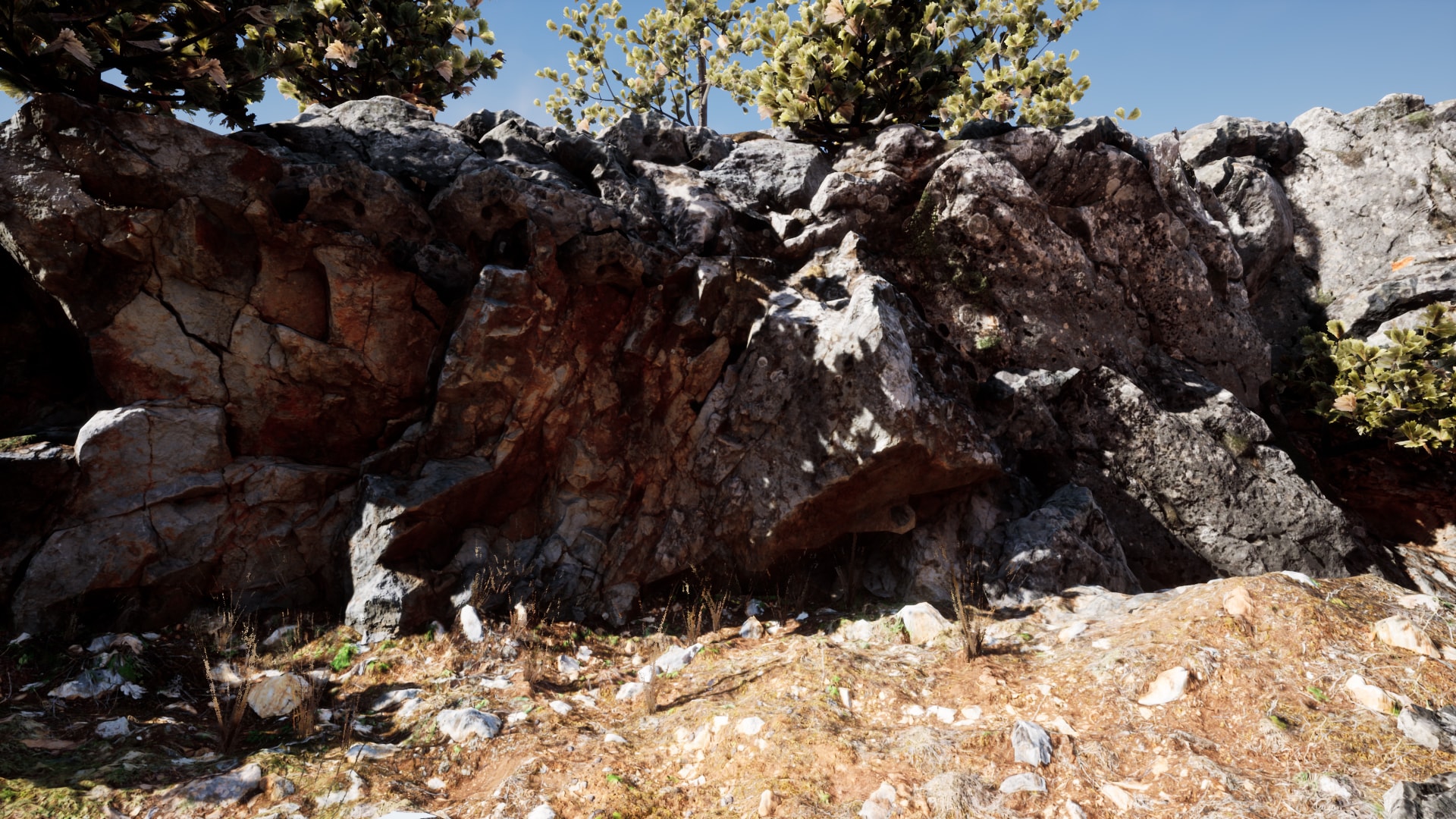 Photoscanned Rocky Field in Environments - UE Marketplace