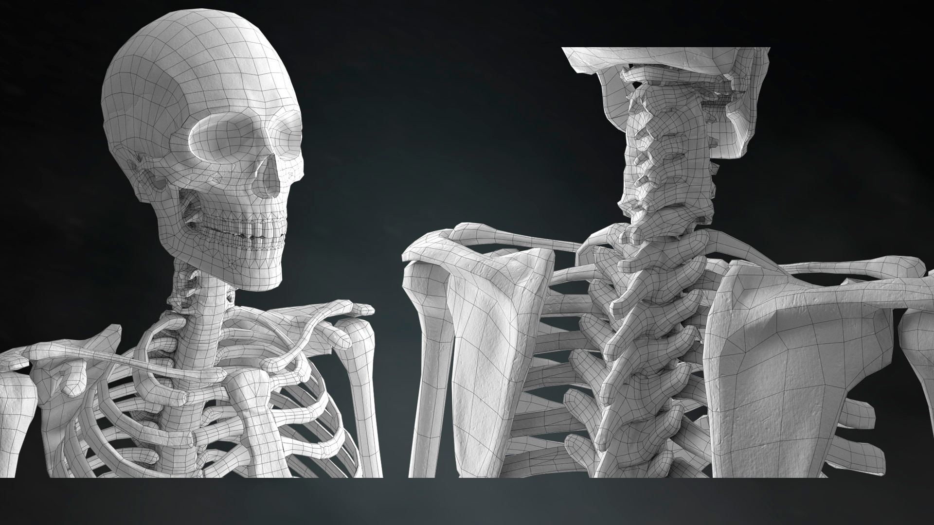Realistic Skeleton in Characters - UE Marketplace